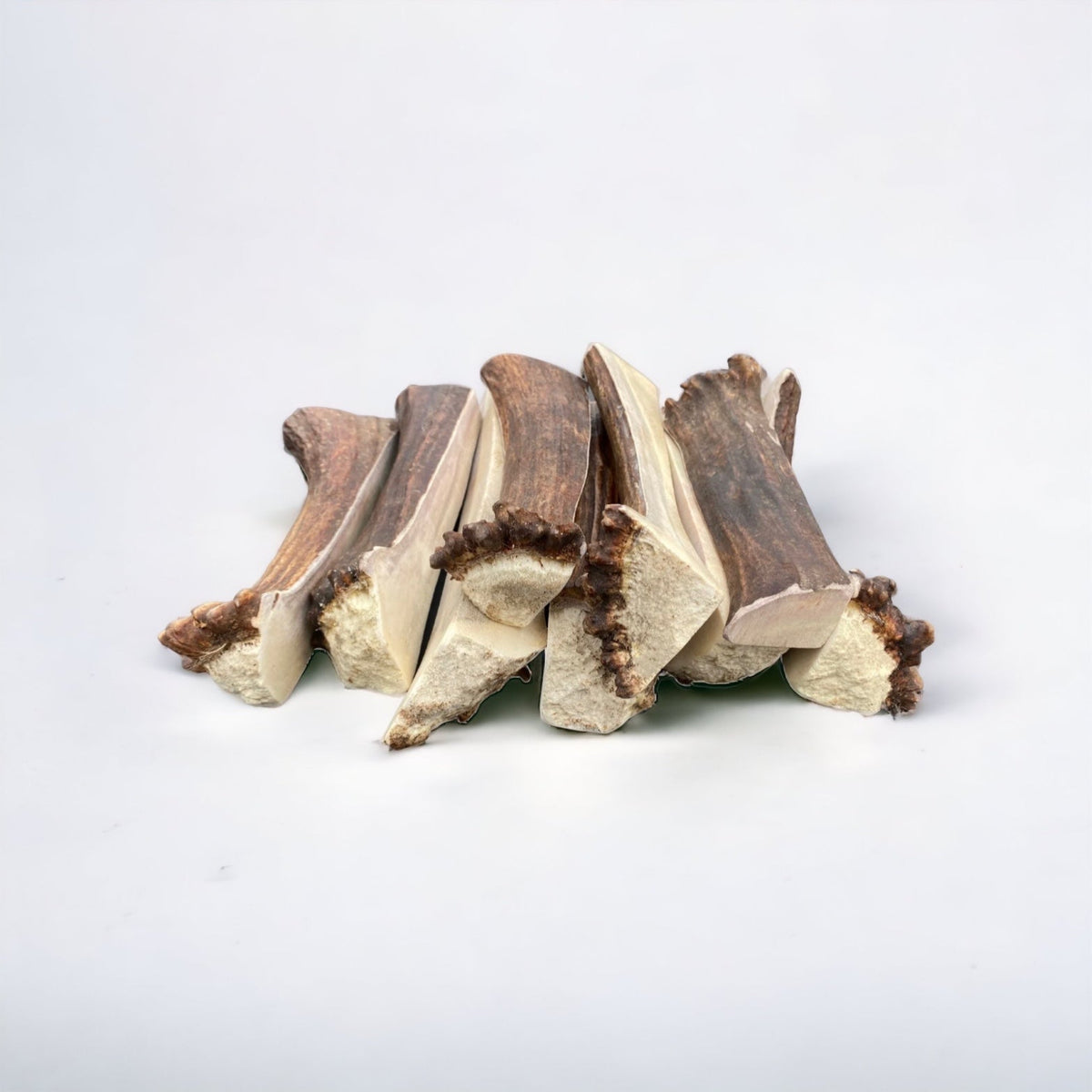 Moose Antler Quarter Splits – Allagash Antlers
